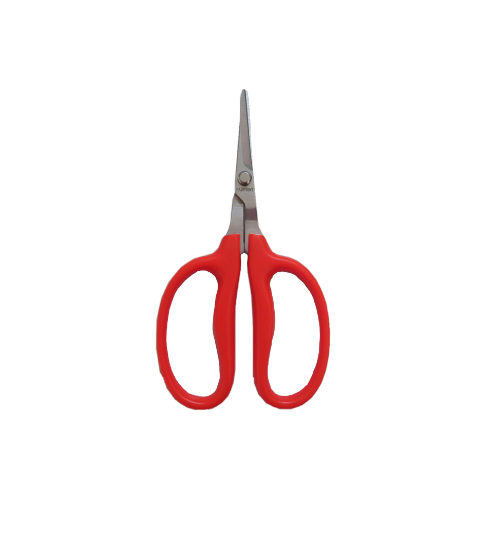 Red Precision Scissors – PAWPRINT